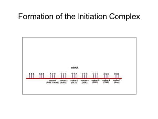 Inhibitors of protein synthesis.pptx