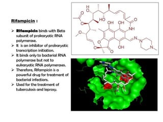 Inhibitors of transcription.pptx