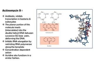 Inhibitors of transcription.pptx