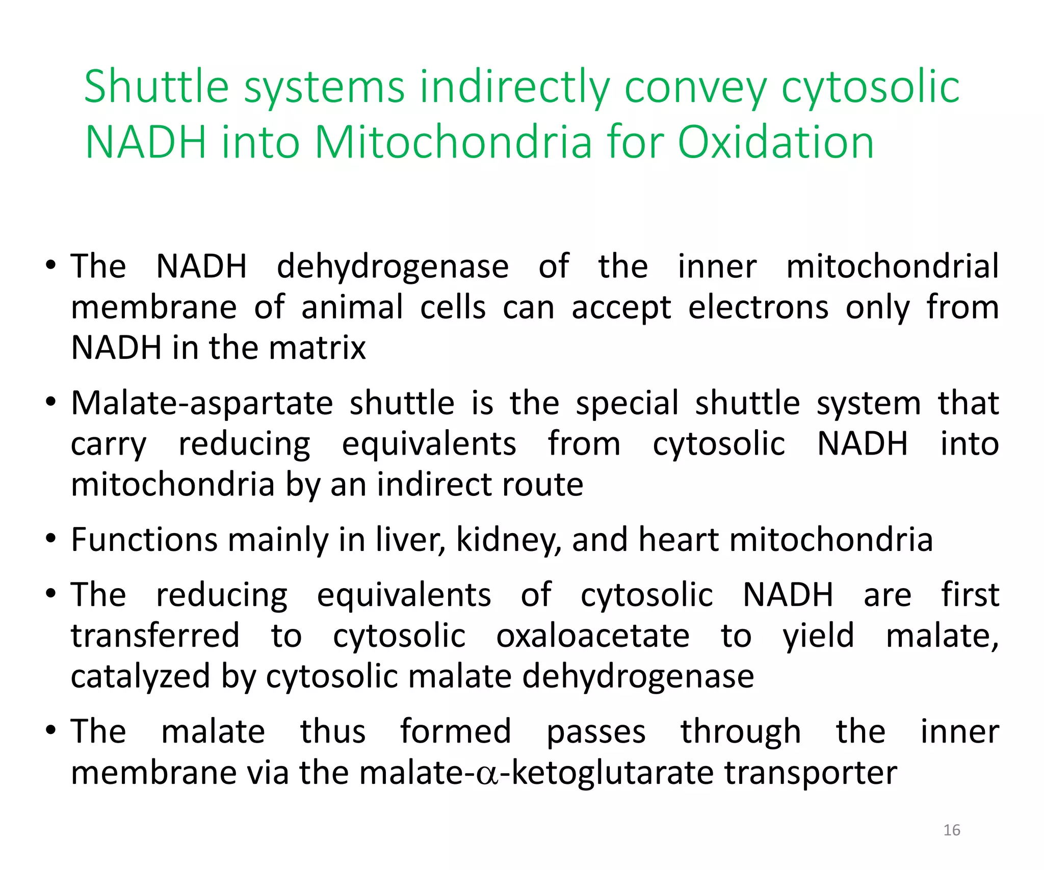 Inhibitors & uncouplers of oxidative phosphorylation & ETC | PPTX