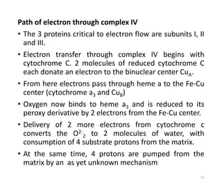 Inhibitors & uncouplers of oxidative phosphorylation & ETC | PPTX