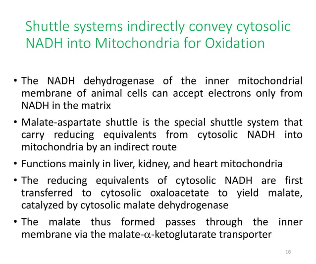 Inhibitors & uncouplers of oxidative phosphorylation & ETC | PPTX