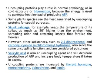 Inhibitors & uncouplers of oxidative phosphorylation & ETC | PPTX