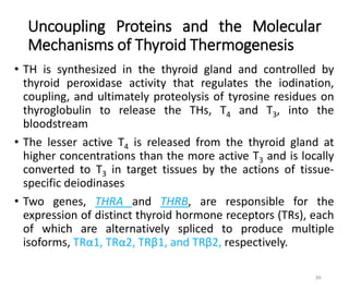 Inhibitors & uncouplers of oxidative phosphorylation & ETC | PPTX