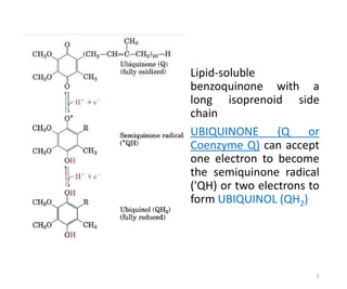 Inhibitors & uncouplers of oxidative phosphorylation & ETC | PPTX