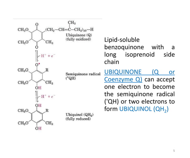 Inhibitors & uncouplers of oxidative phosphorylation & ETC | PPTX