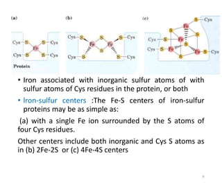 Inhibitors & uncouplers of oxidative phosphorylation & ETC | PPTX