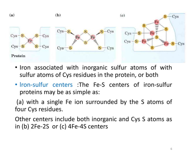 Inhibitors & uncouplers of oxidative phosphorylation & ETC | PPTX