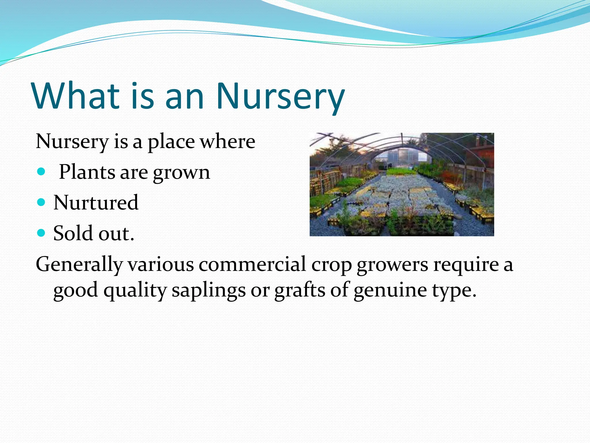In House Plant Nursery PPT.pptx........ | PPTX