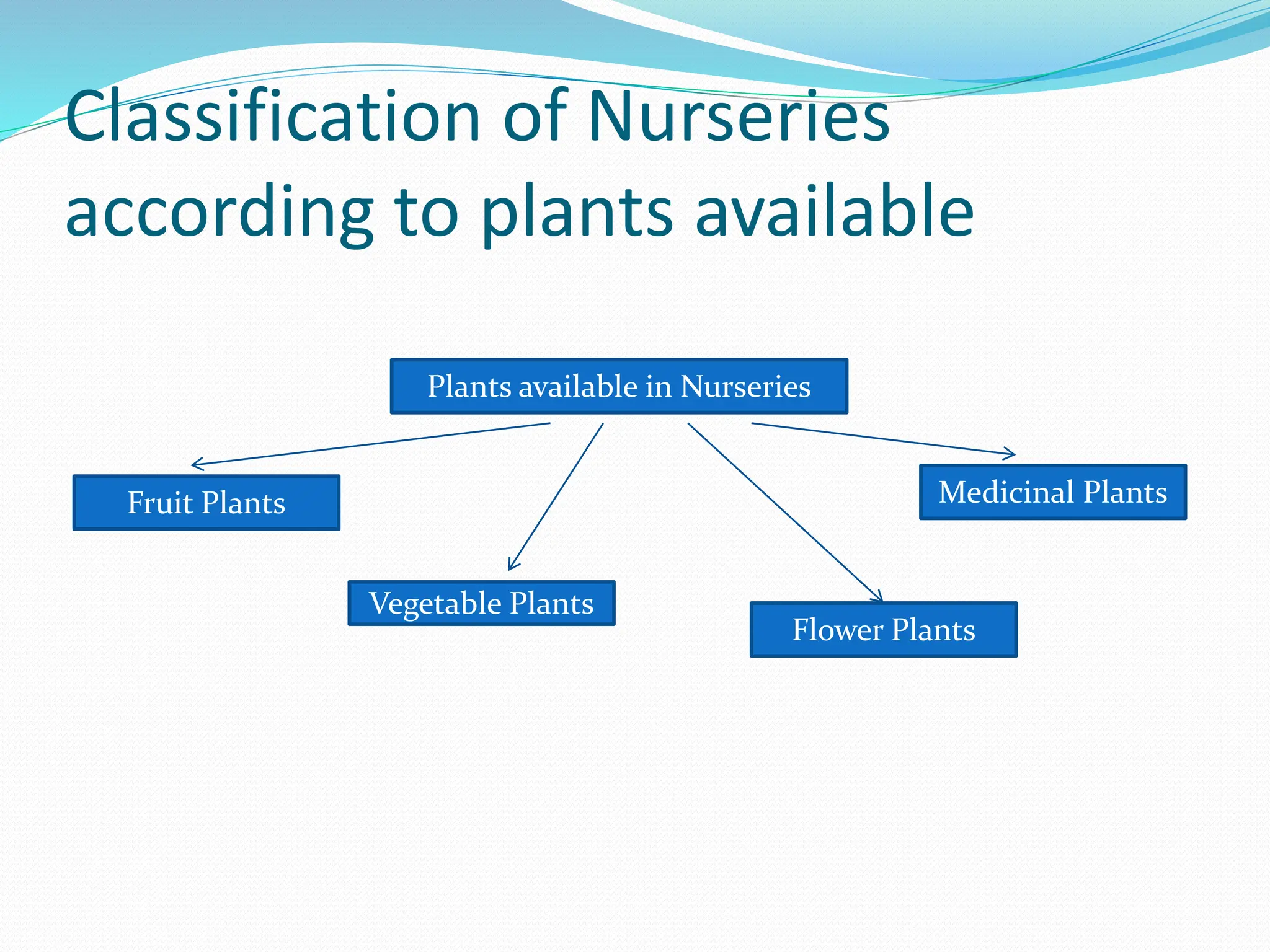In House Plant Nursery PPT.pptx........ | PPTX