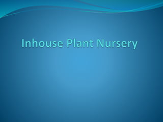 In House Plant Nursery PPT.pptx........ | PPTX