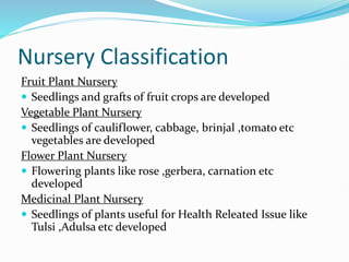 In House Plant Nursery PPT.pptx........ | PPTX
