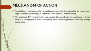 Isoniazid, Rifampicin, Pyrazinamide and Ethambutol | PPTX