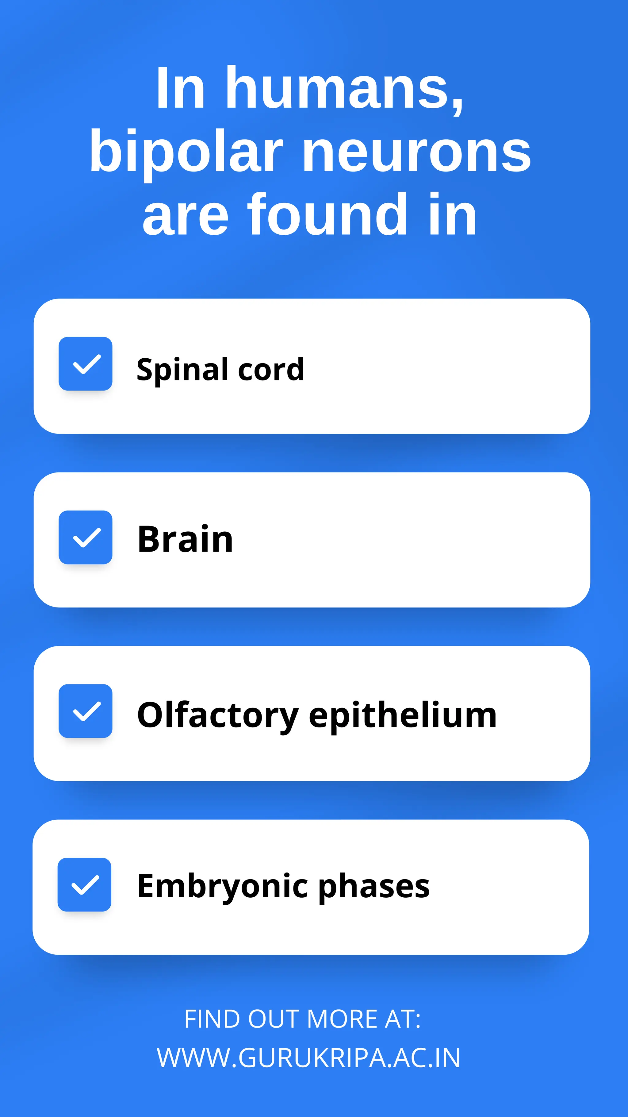 In humans, bipolar neurons are found in.pdf