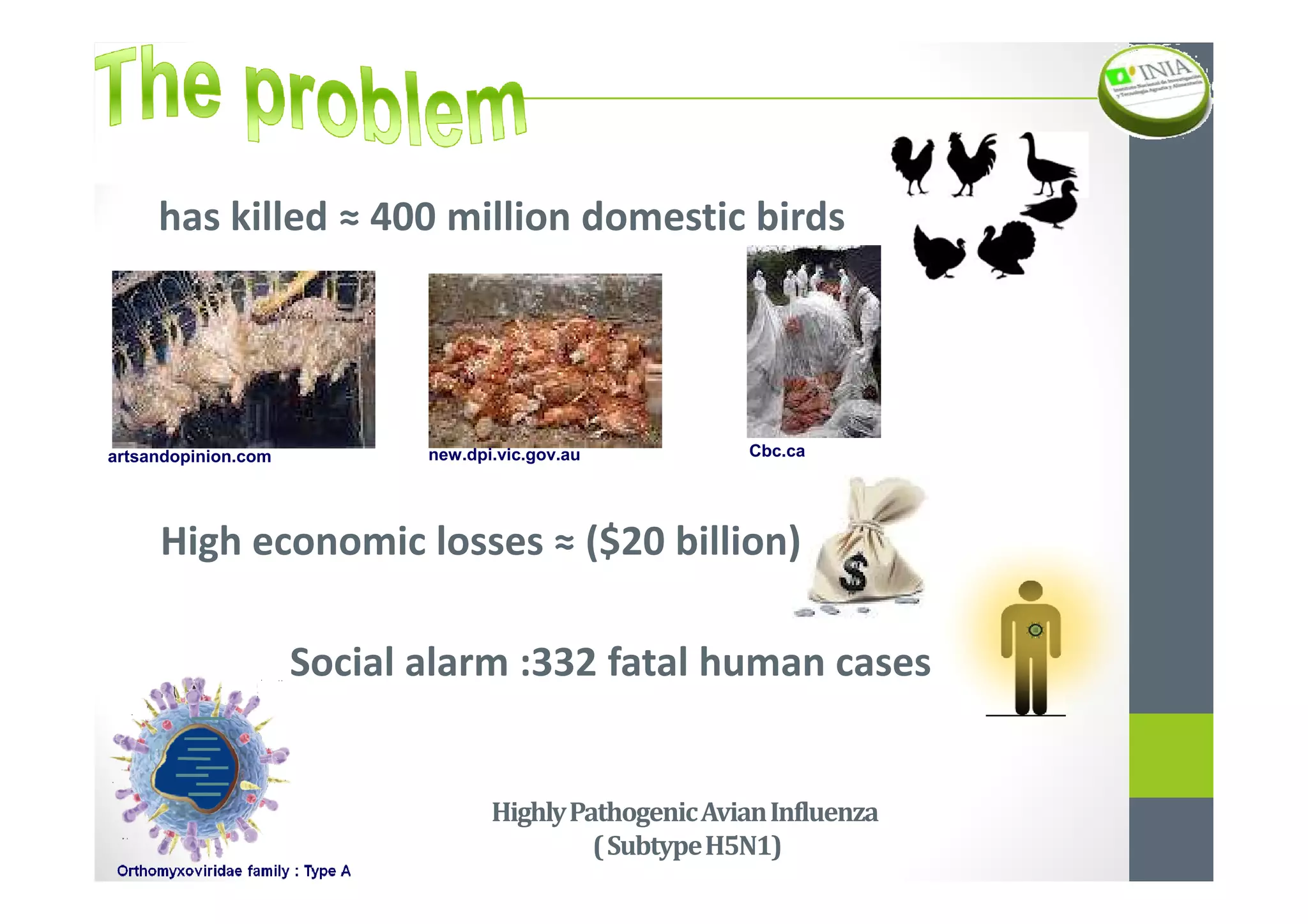 Spatial Analysis to Identify Risk Areas of an Important Animal Disease ...