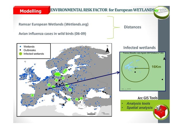 Spatial Analysis to Identify Risk Areas of an Important Animal Disease ...