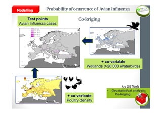 Spatial Analysis to Identify Risk Areas of an Important Animal Disease (Highly Pathogenic Avian ...