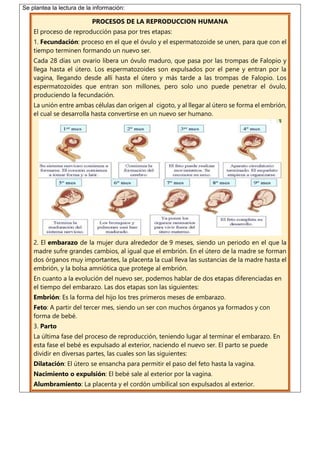 Inicio de una nueva vida. Nacimiento de un bebé.docx