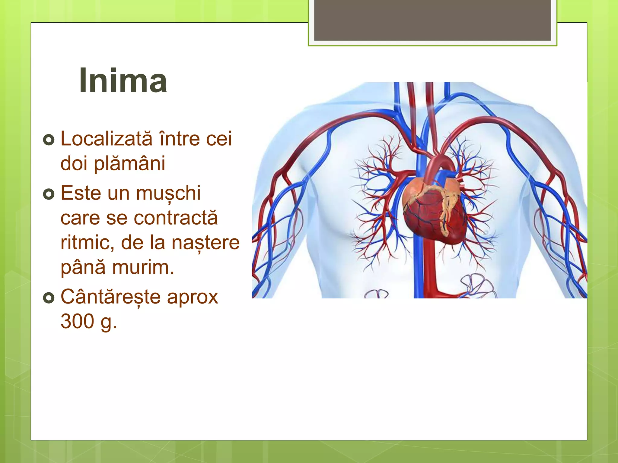 Inima si sistemul cardiovascular | PPTX