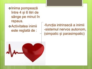 Inima si sistemul cardiovascular | PPTX