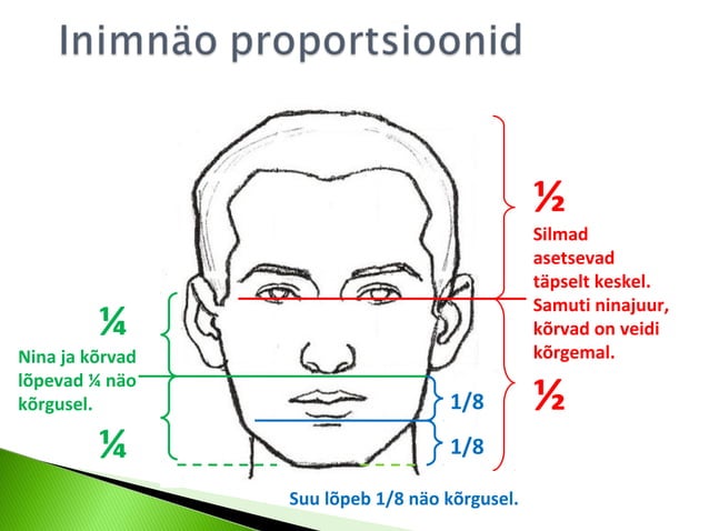 Inimese proportsioonid | PPT