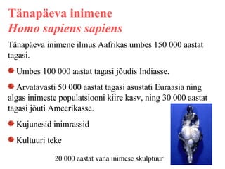 Inimese evolutsioon | PPT