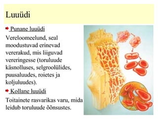 INIMESE LUUSTIK | PPT