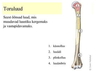 INIMESE LUUSTIK | PPT