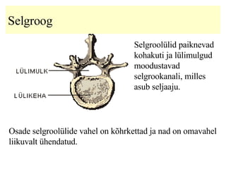INIMESE LUUSTIK | PPT