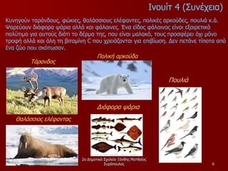 ΙΝΙΟΥΙΤ | PPT