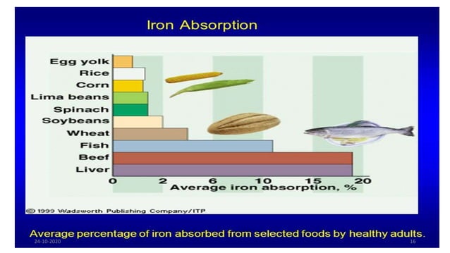 INTENSIFIED NATIONAL IRON PLUS INITIATIVE | PPTX | Pregnancy ...