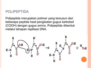 Inisiasi polipeptida pada translasi | PPTX