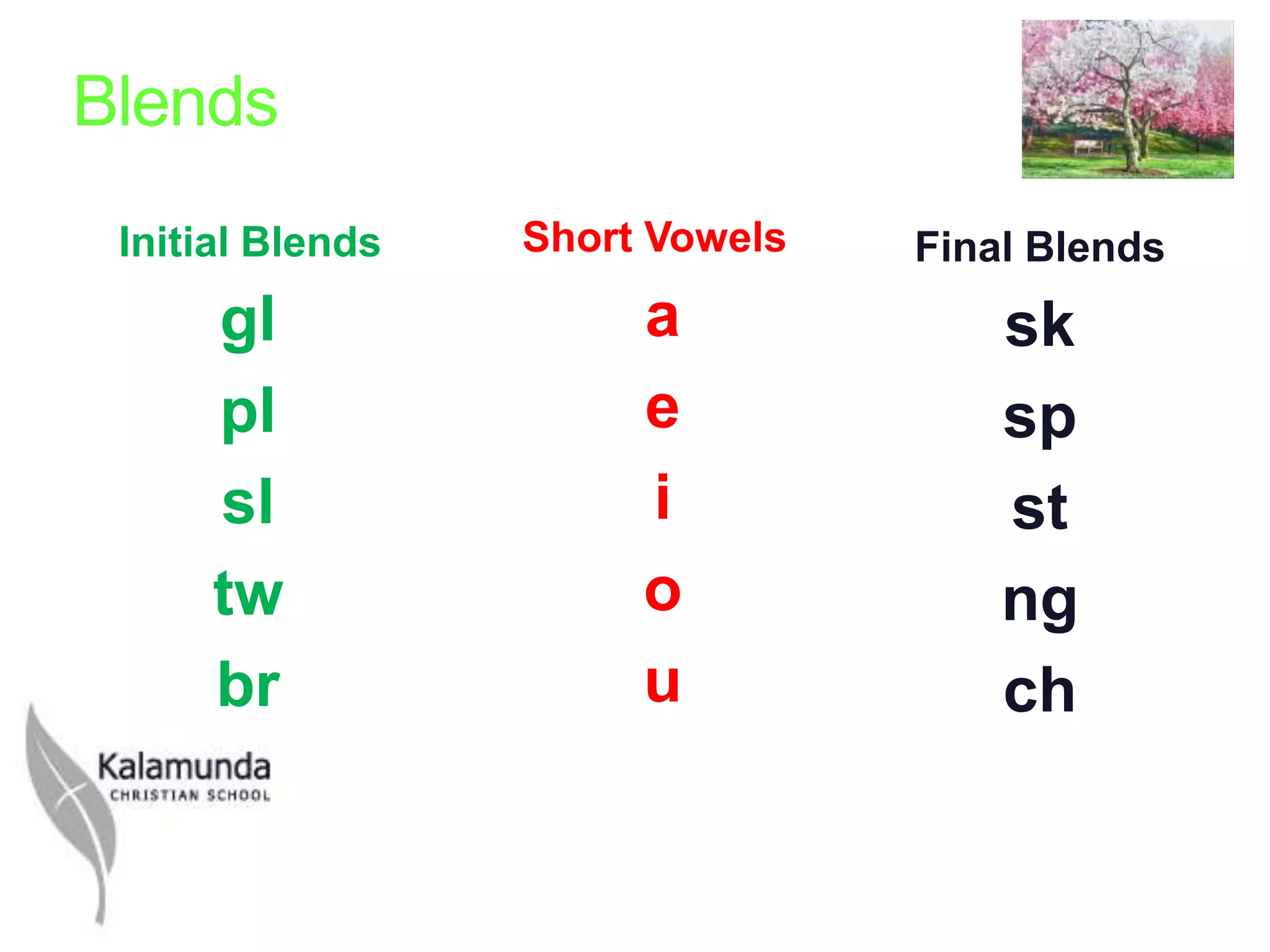 Y1 Initial and final blends power point tg 2012 | PPT