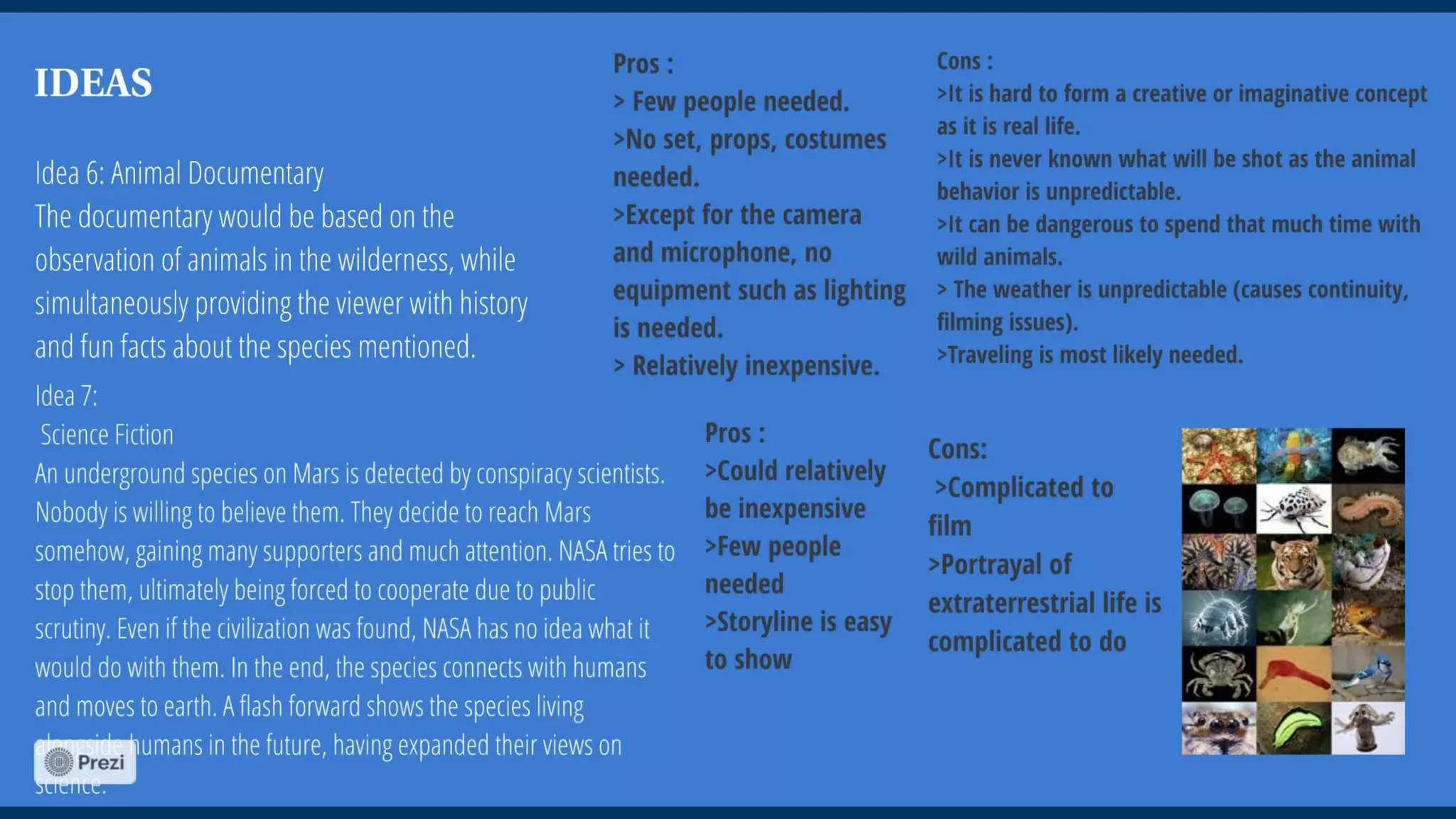 Initial Film Ideas | PPT