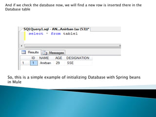 Initialize database in Mule part2 | PPT