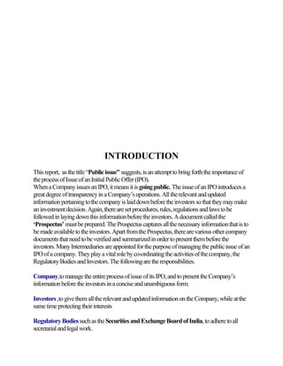 Initial public offering | PDF