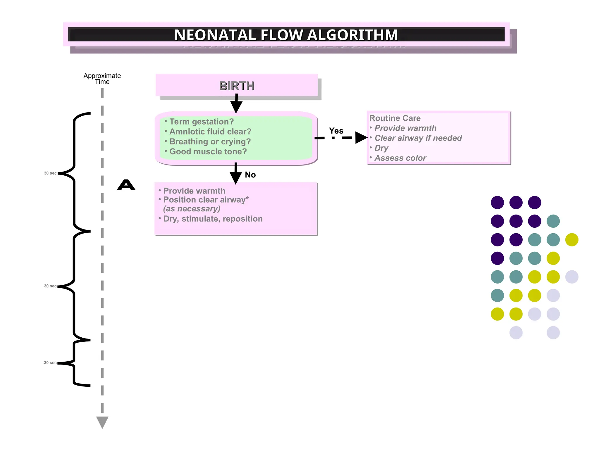 Initial Steps for neonatal resuscitation | PPT