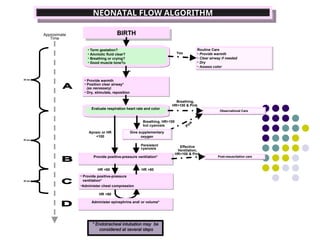 Initial Steps for neonatal resuscitation | PPT