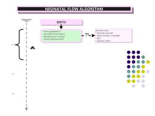 Initial Steps for neonatal resuscitation | PPT