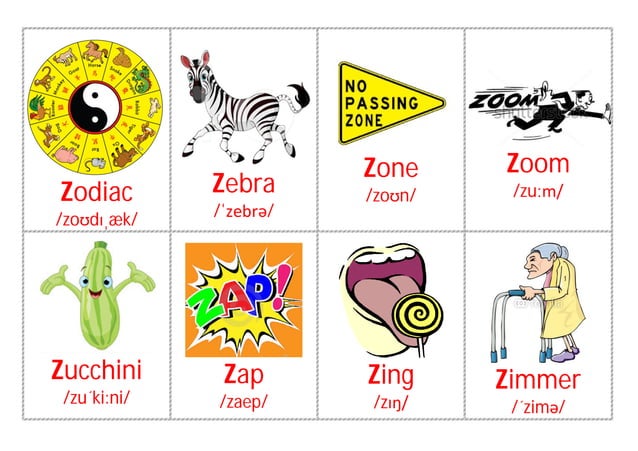 Initial z flashcards | PDF