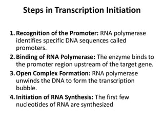 'Initiation and RNA processing' with you.pdf