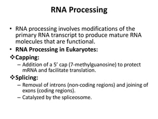 'Initiation and RNA processing' with you.pdf