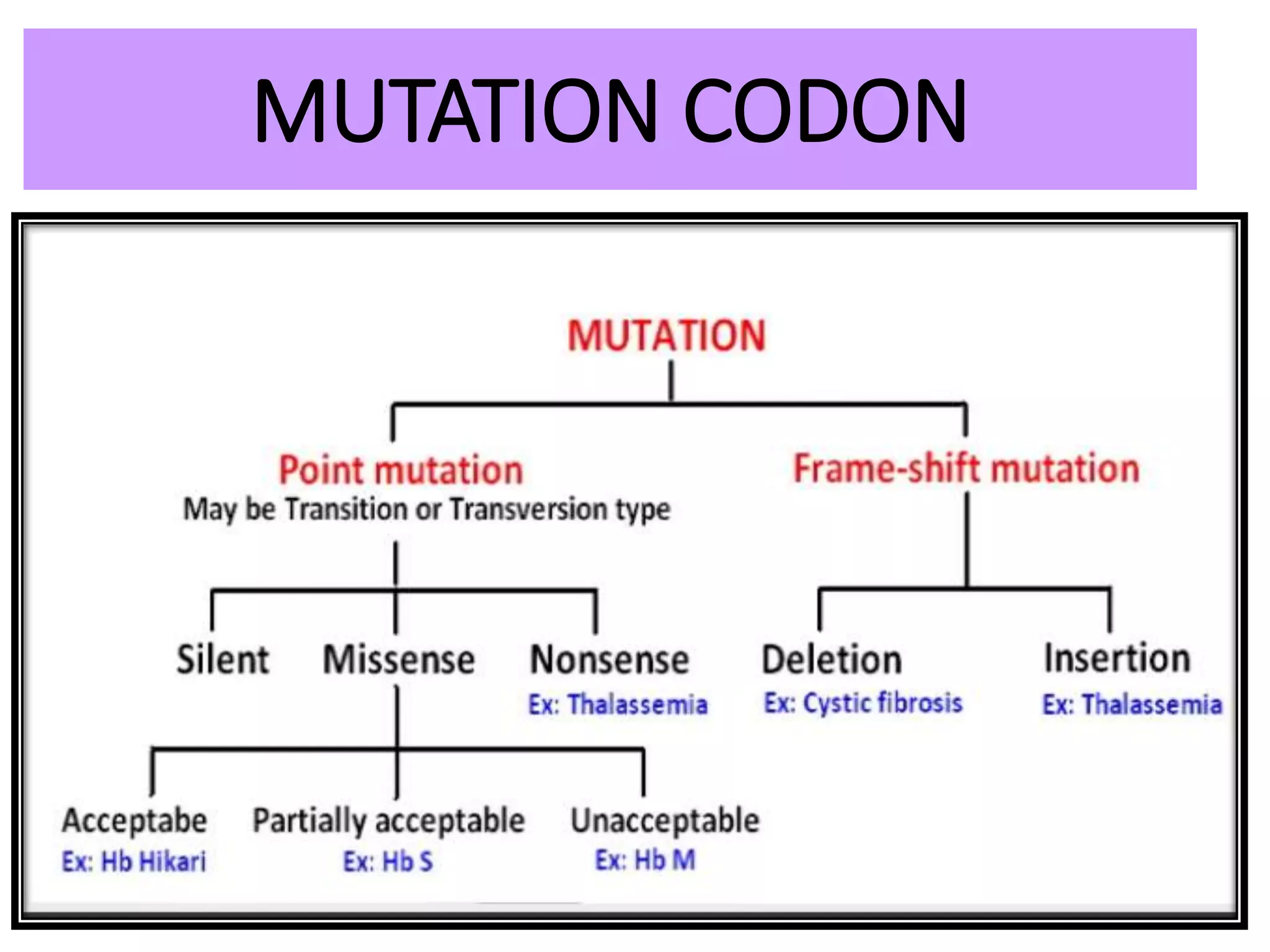 Initiation and termination codons , mutation and genetic code | PPTX