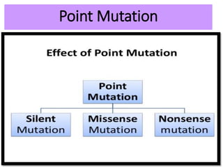 Initiation and termination codons , mutation and genetic code | PPTX