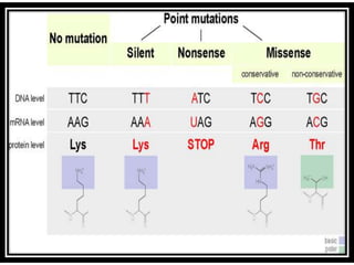 Initiation and termination codons , mutation and genetic code | PPTX