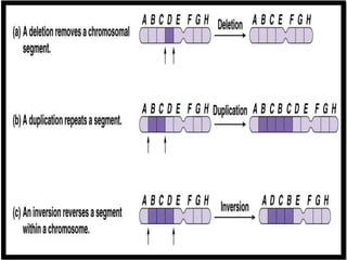 Initiation and termination codons , mutation and genetic code | PPTX