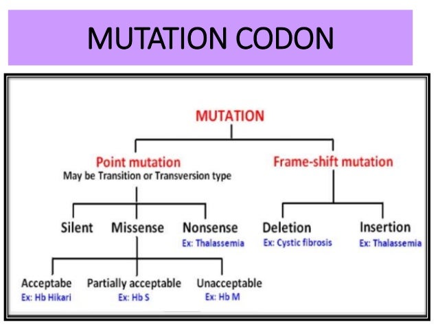 Initiation and termination codons , mutation and genetic code