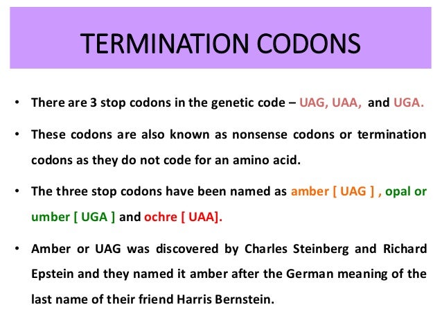 Initiation And Termination Codons Mutation And Genetic Code