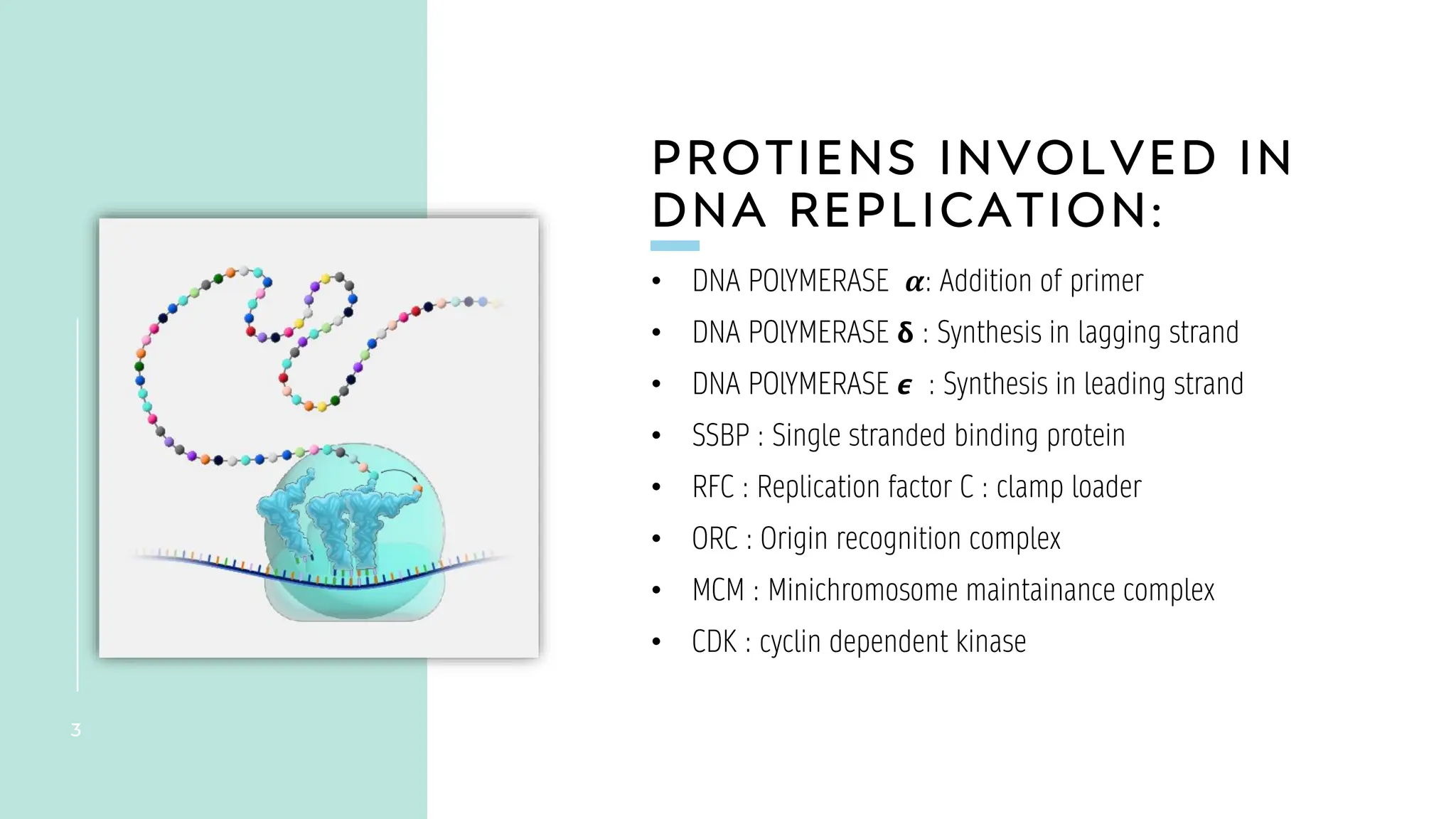 INITIATION mol bio Dna in eukaryotes initiation part | PDF