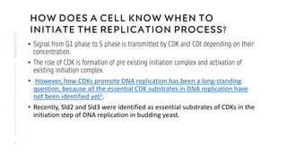 INITIATION mol bio Dna in eukaryotes initiation part | PDF